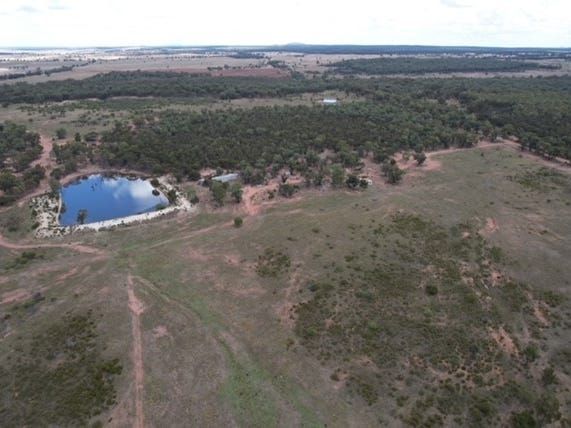 19/'Emu Plains", 22 698 Wilga Ridge Rd, Fifield NSW 2875 - House for Sale