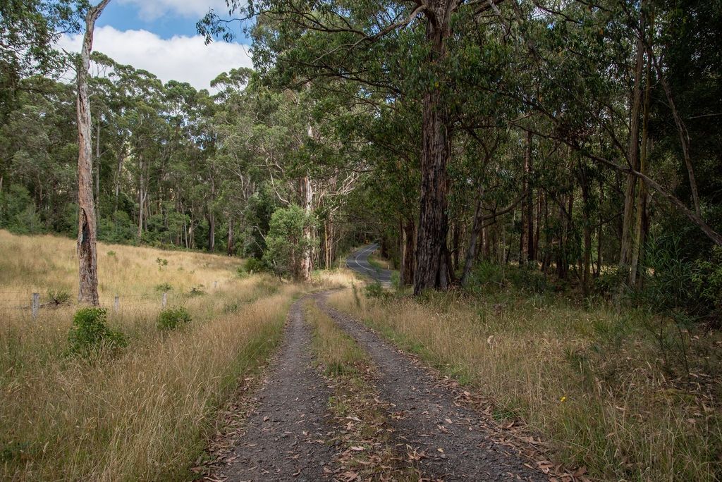 2950 Colac-Forrest Road, Forrest VIC 3236 - Vacant Land for Sale