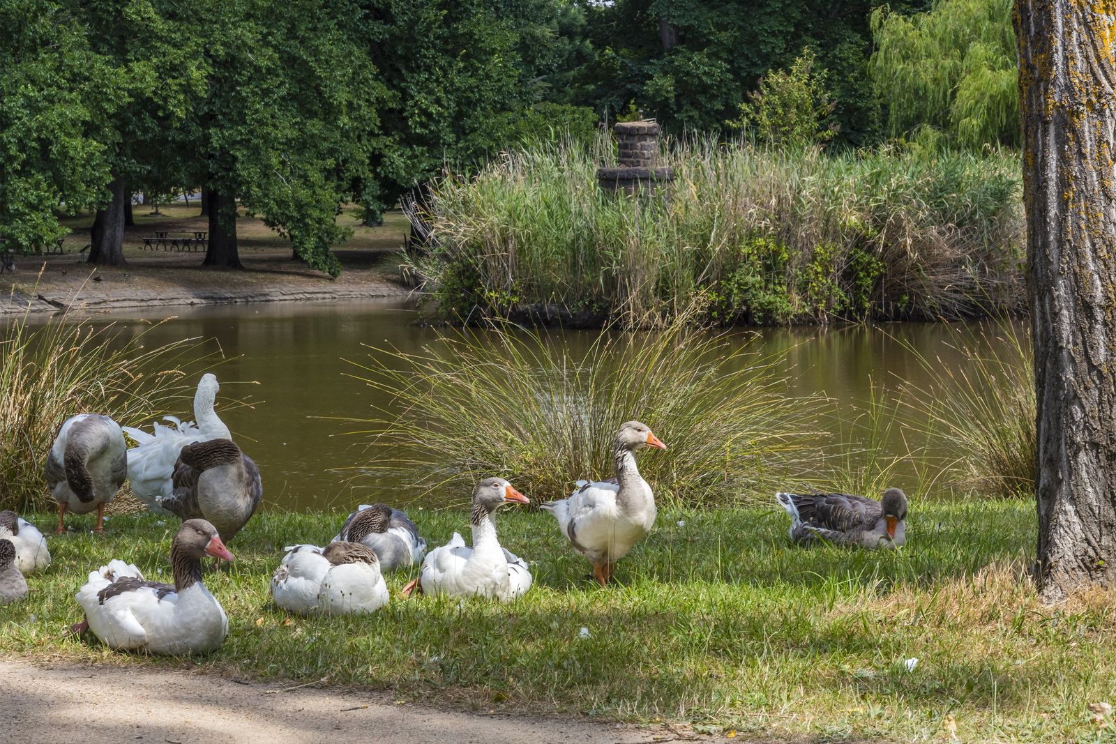 9 Ellesmere Place, Malmsbury VIC 3446 | Domain