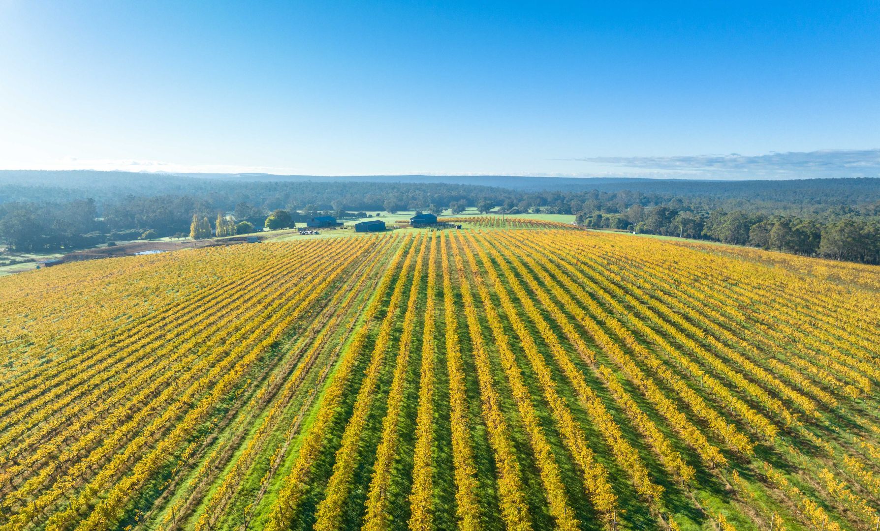 Lot 150 Denmark-Mount Barker Road, Mount Barker WA 6324 | Domain