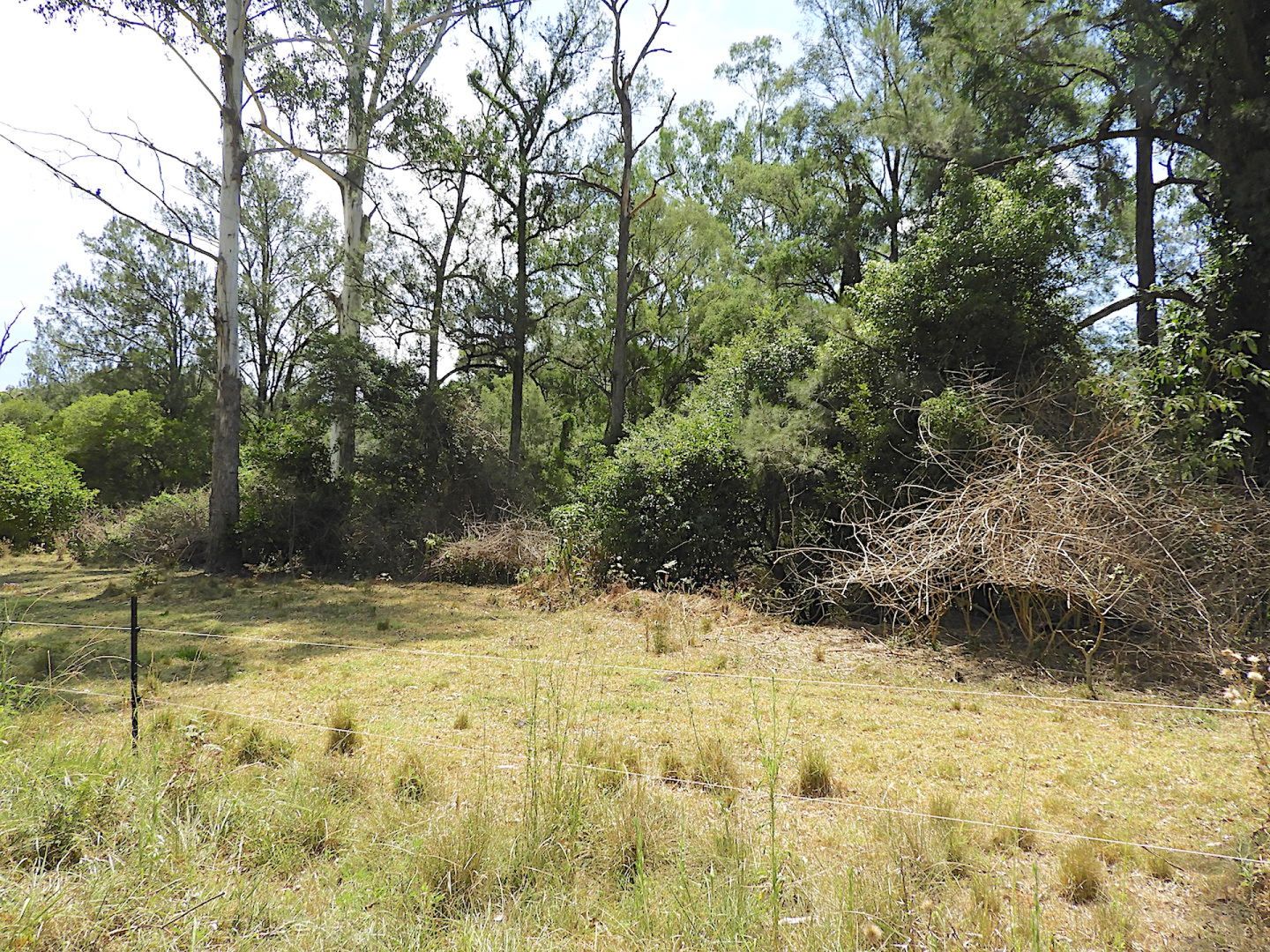 Sold in Old Bonalbo NSW 2469 on 07 Jan 2020 - 2015116090 | Domain