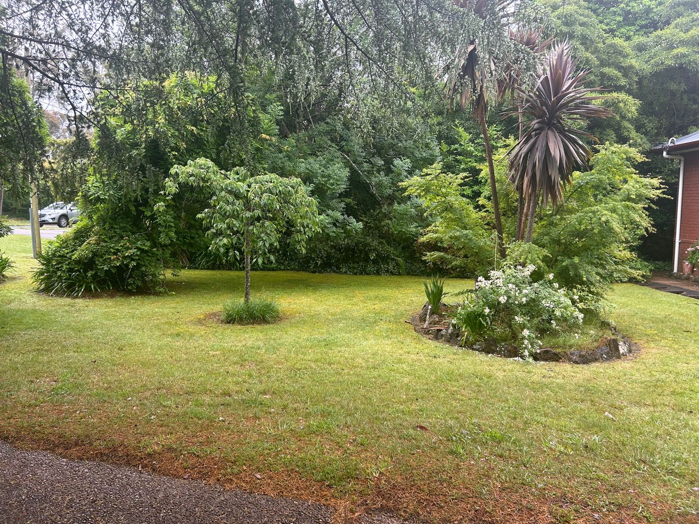 16 Mitchell Street, Wentworth Falls NSW 2782 - House For Rent | Domain