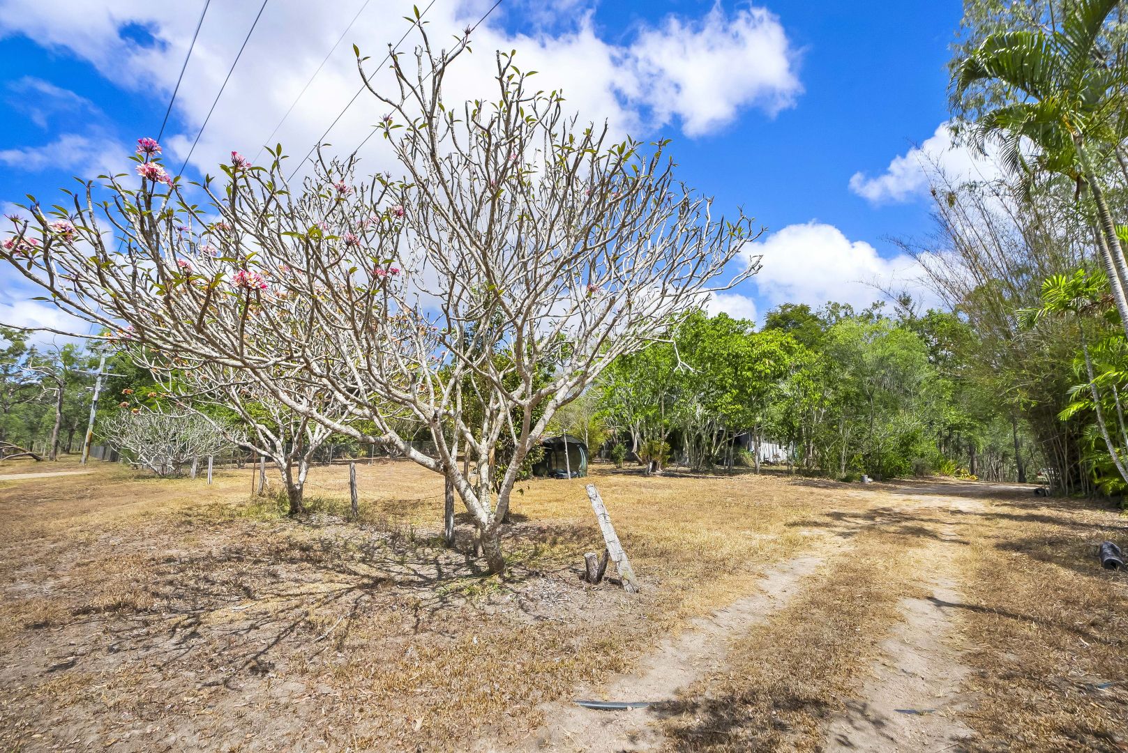 62 Barron Street, Koah QLD 4881 | Domain