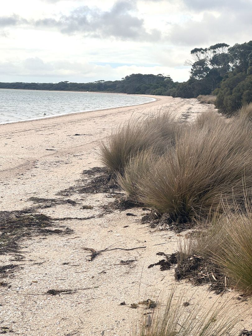 42 Nepean Esplanade, Nepean Bay SA 5223 | Domain
