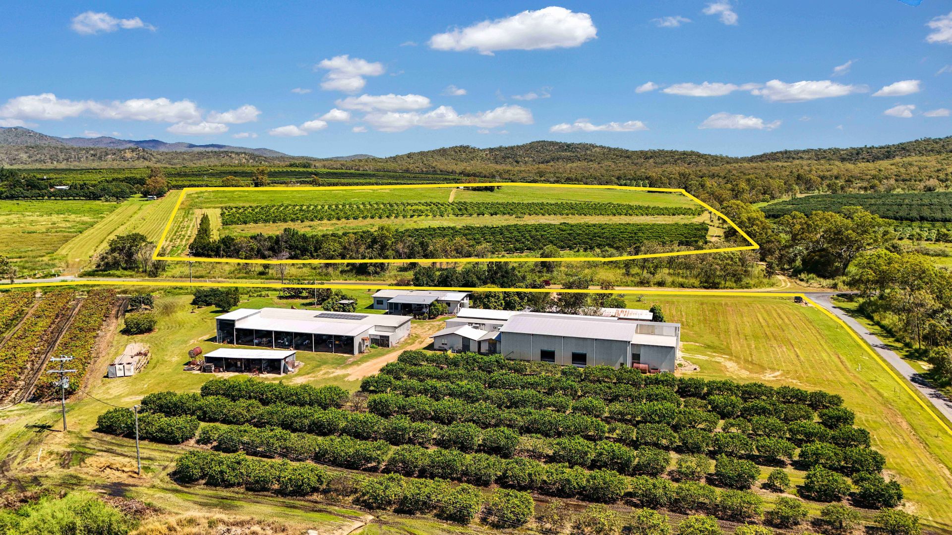 119 Mcleod Road, Mutchilba QLD 4872 - Specialist Farm for Sale