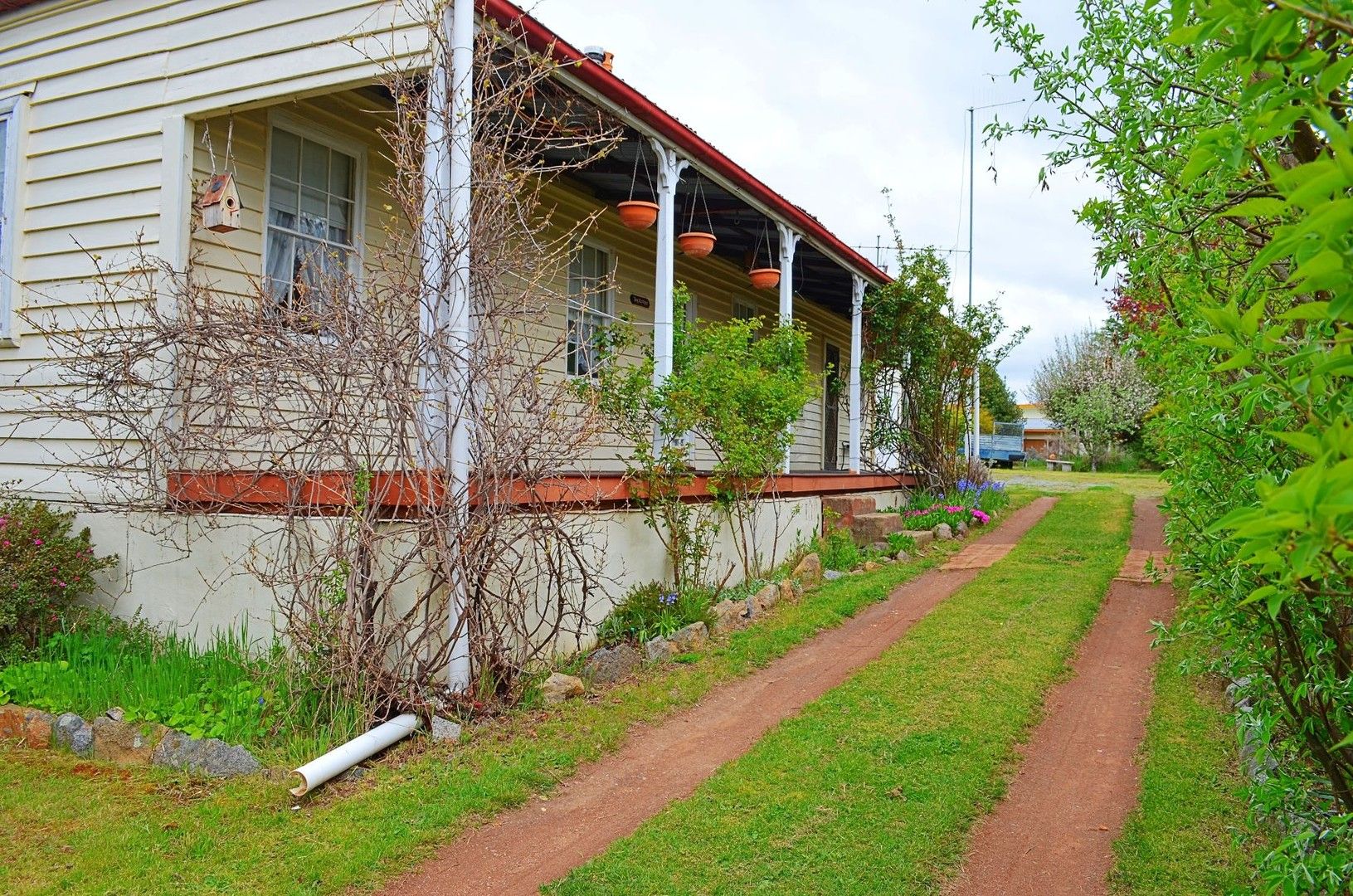 31 Druitt Street, Adaminaby NSW 2629 - House For Rent | Domain