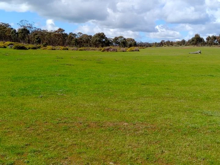 147 Real Estate Properties for Sale in Wedderburn, VIC, 3518 | Domain