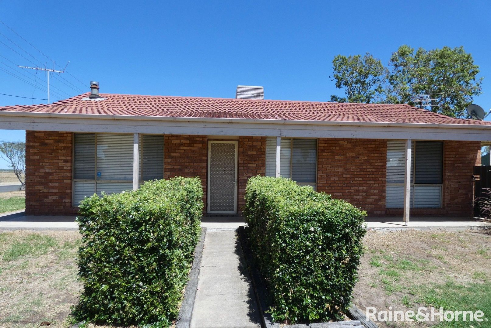 Moree NSW 2400 - 3 beds house for Rent, $370 p/w + 50% WATER - 17410163 ...