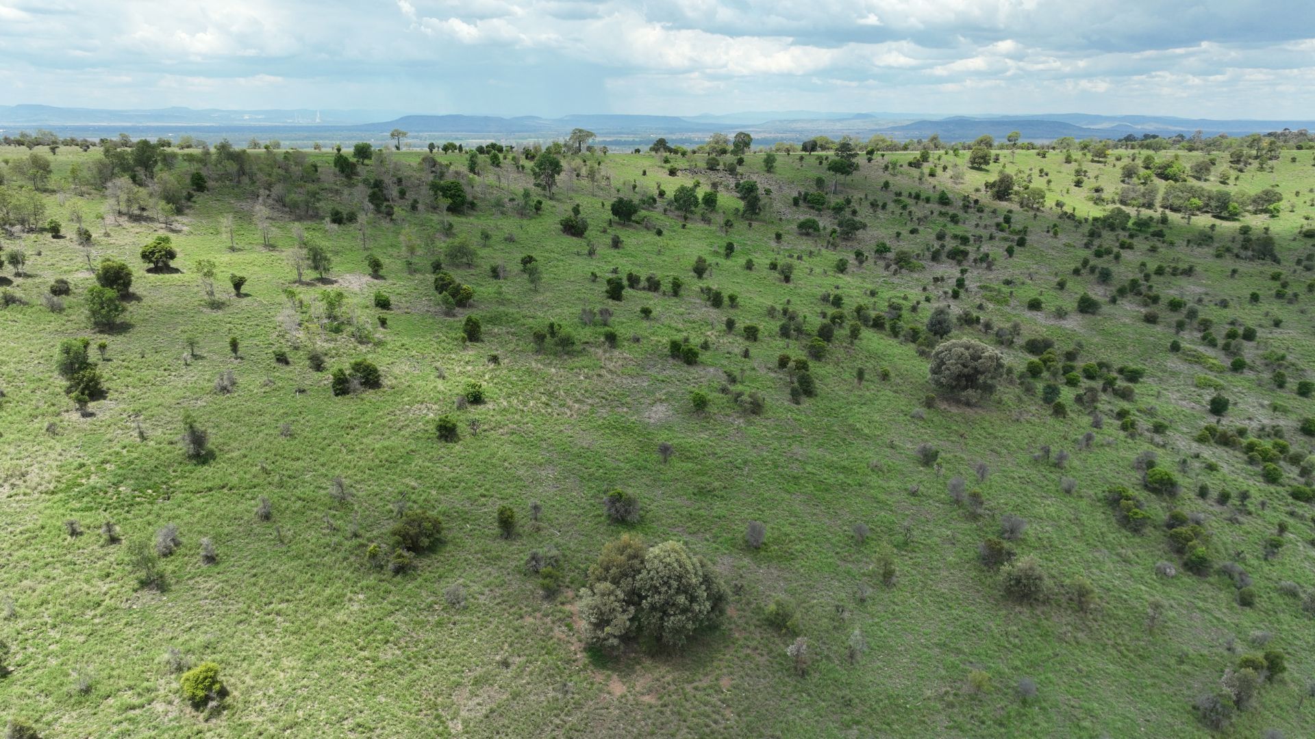 251 Ziebarths Road, Prospect QLD 4715 - House for Sale | Domain