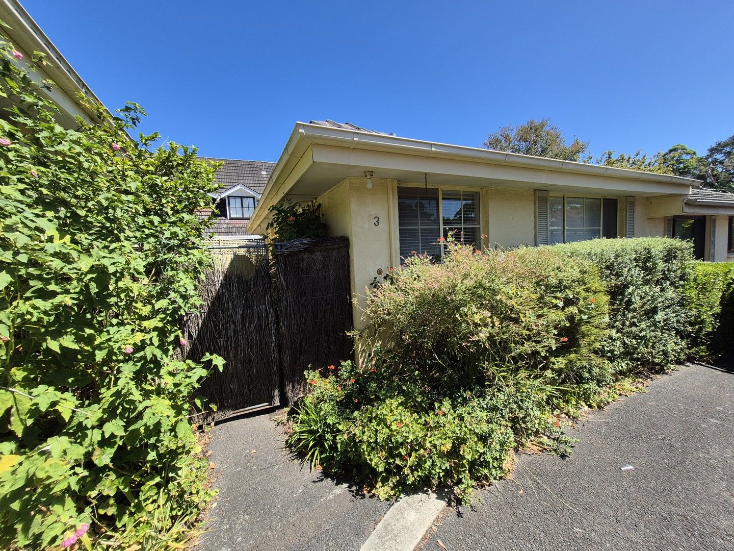 3/27A Laburnum Street, Blackburn VIC 3130 - Apartment For Rent - $450 ...