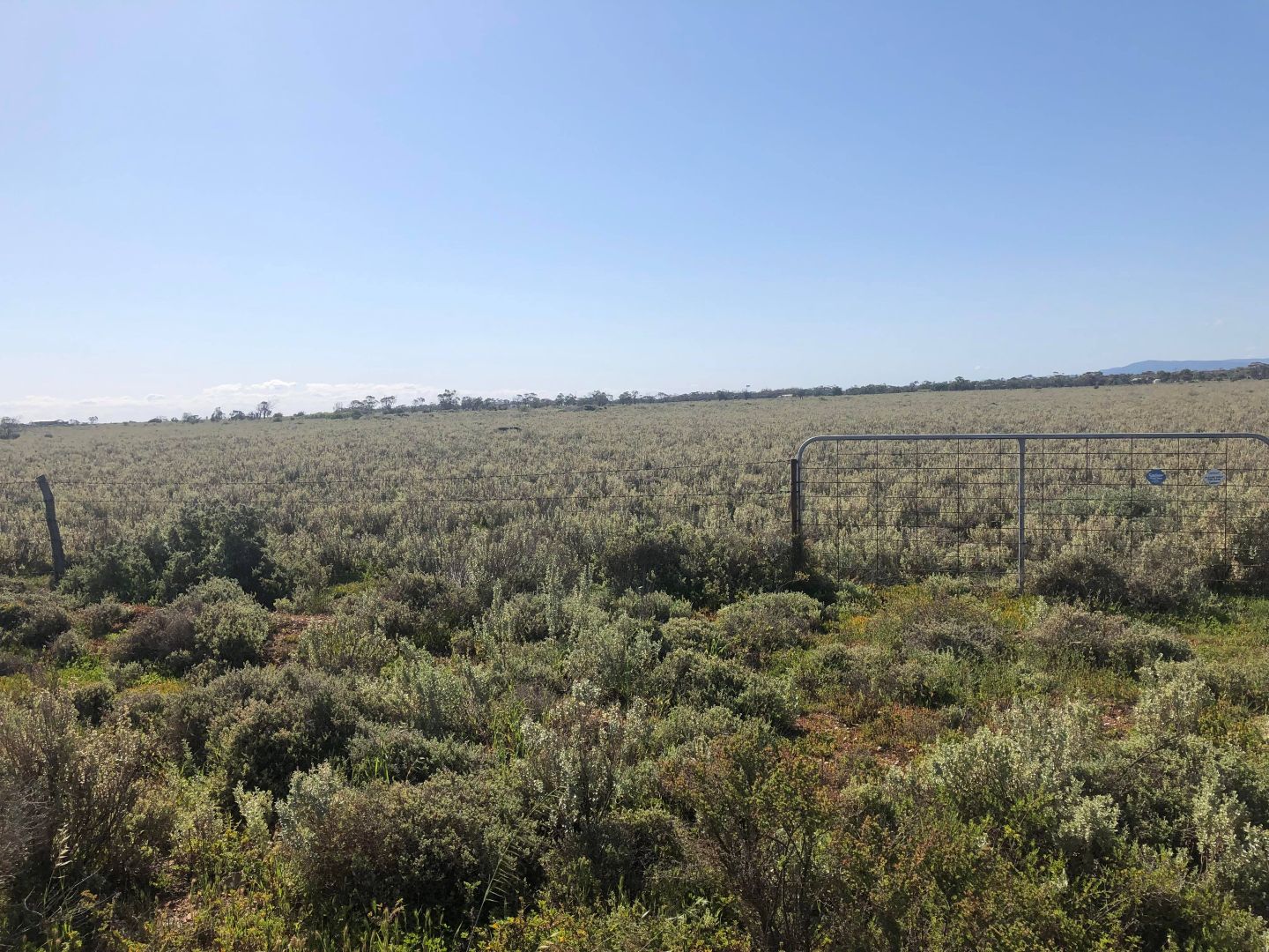 Lot 148 Keeley Road, Port Germein SA 5495 | Domain