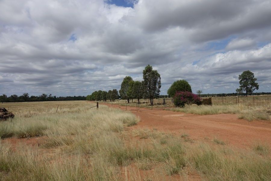 415 "Wilga View" National Park Road, Curban NSW 2827 - Vacant Land for Rent