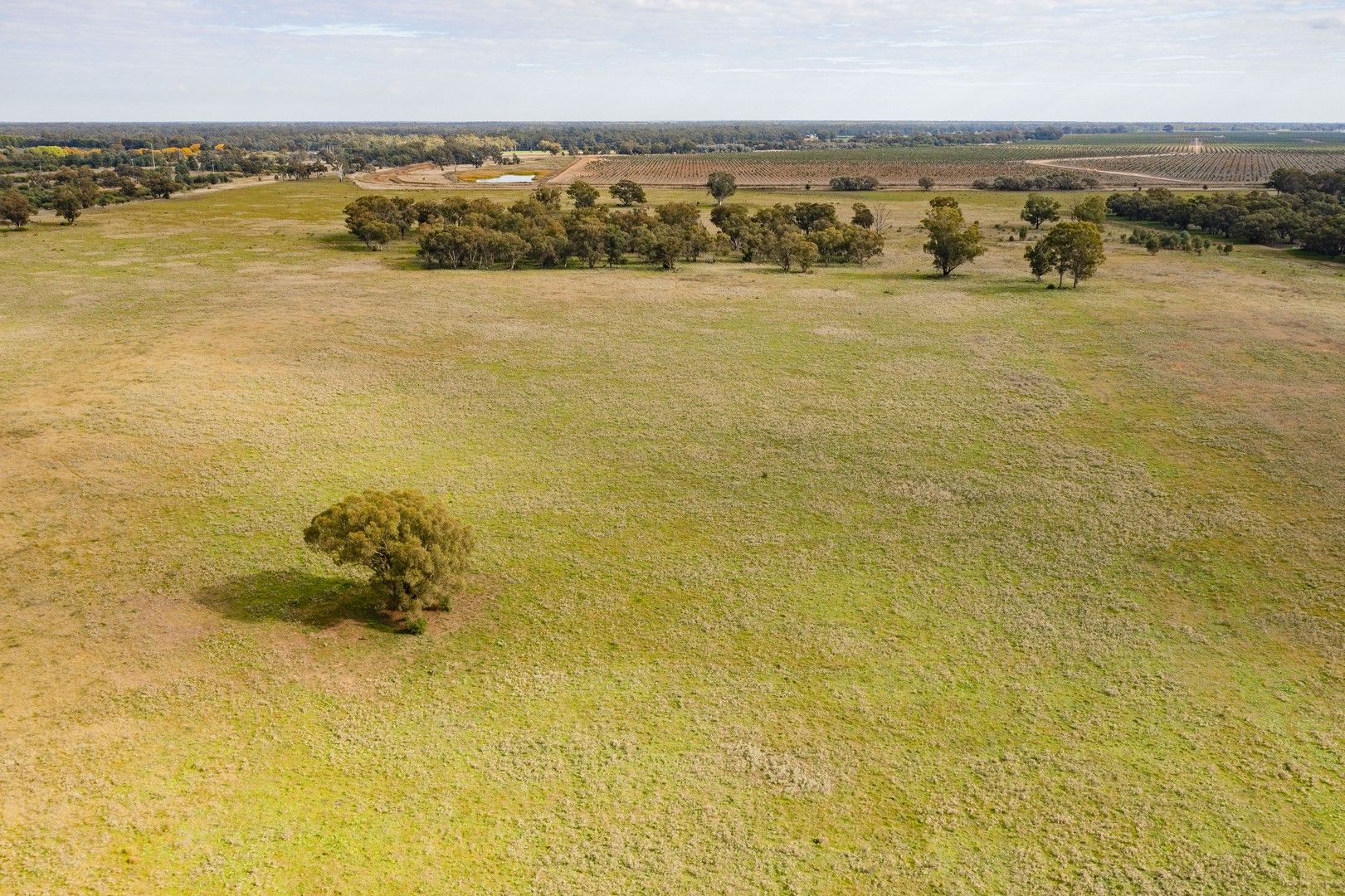 243 MacKellar Road, Cudgel NSW 2700 - House for Sale | Domain