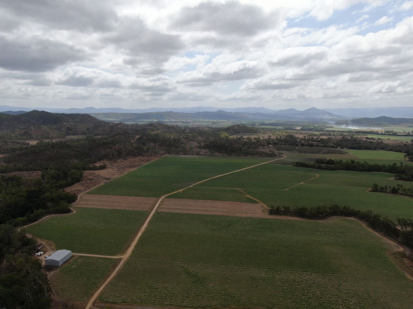 Septimus QLD 4754 - House for Sale | Domain