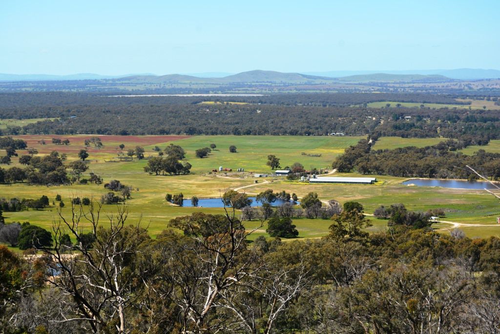 142 Monaghan Road, Black Range | Property History & Address Research ...