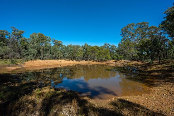135 Real Estate Properties for Sale in Dunedoo, NSW, 2844 | Domain