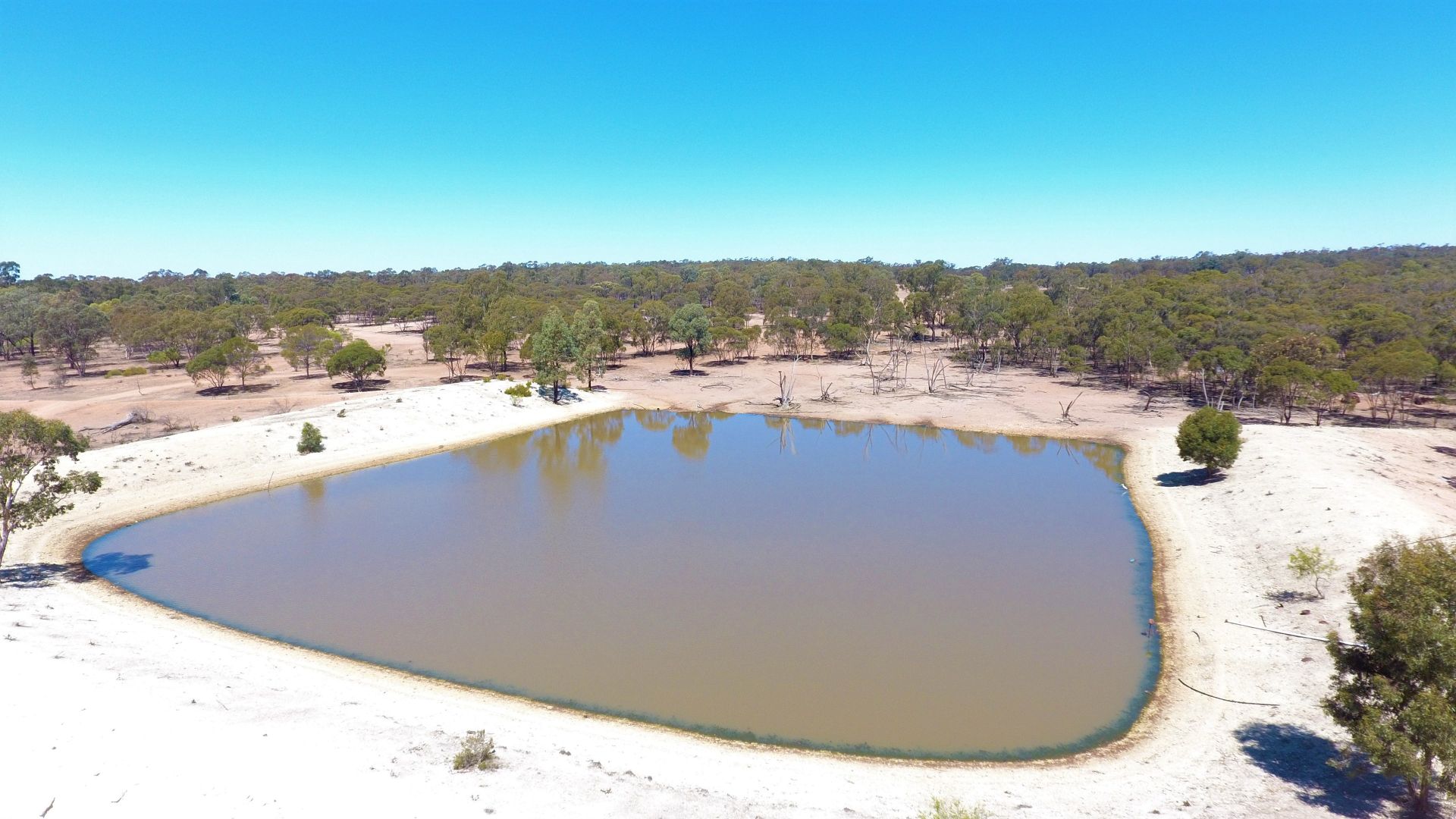 Sold 698 Wilga Ridge Road, Fifield NSW 2875 on 29 Nov 2019 - 2015820990 ...