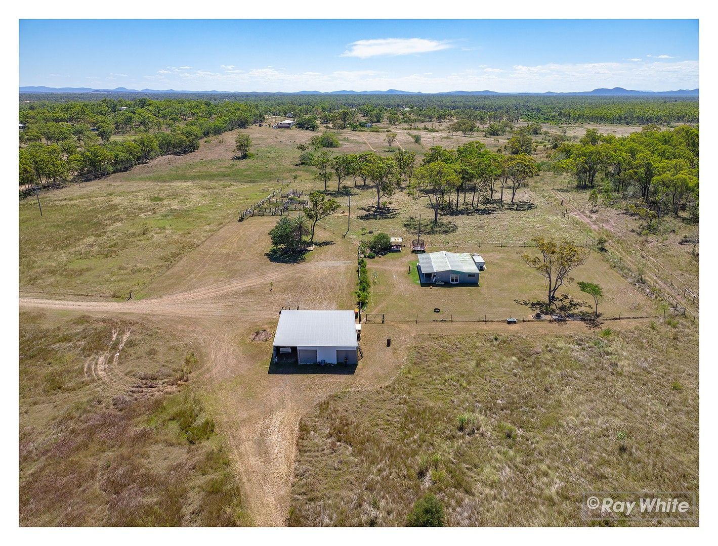 155 Dendle Road, Milman QLD 4702 - Specialist Farm for Sale | Domain