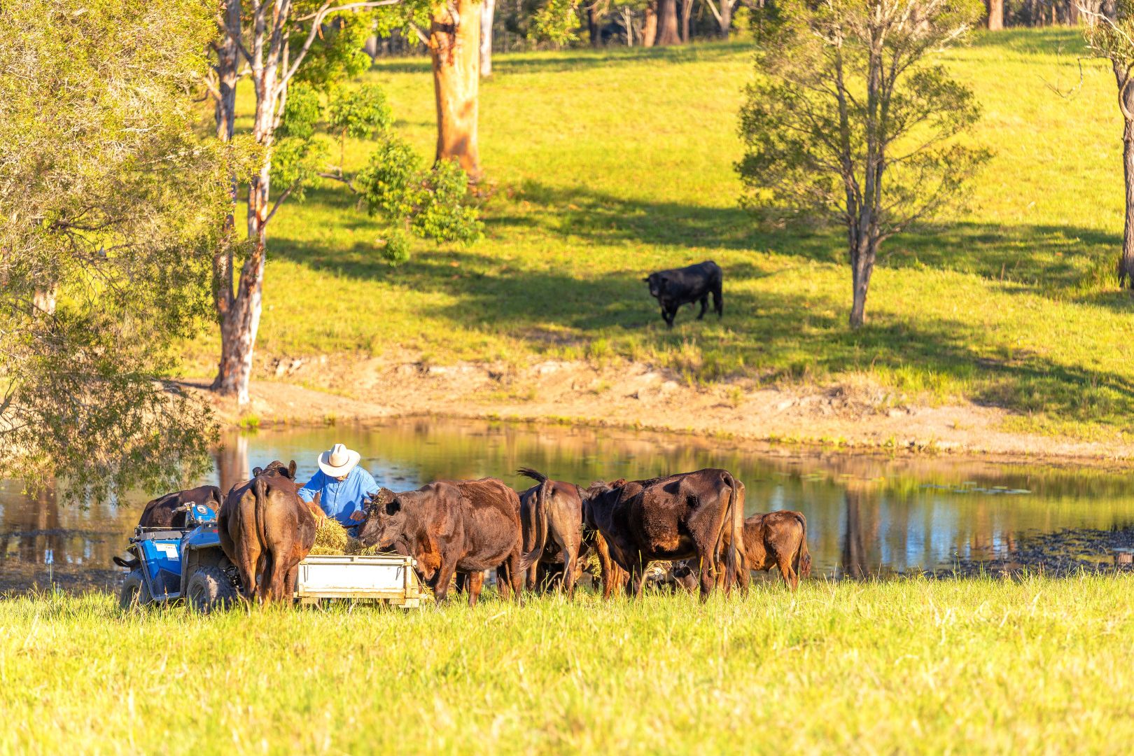 673 Shallow Bay Road, Shallow Bay NSW 2428 - Farm for Sale | Domain
