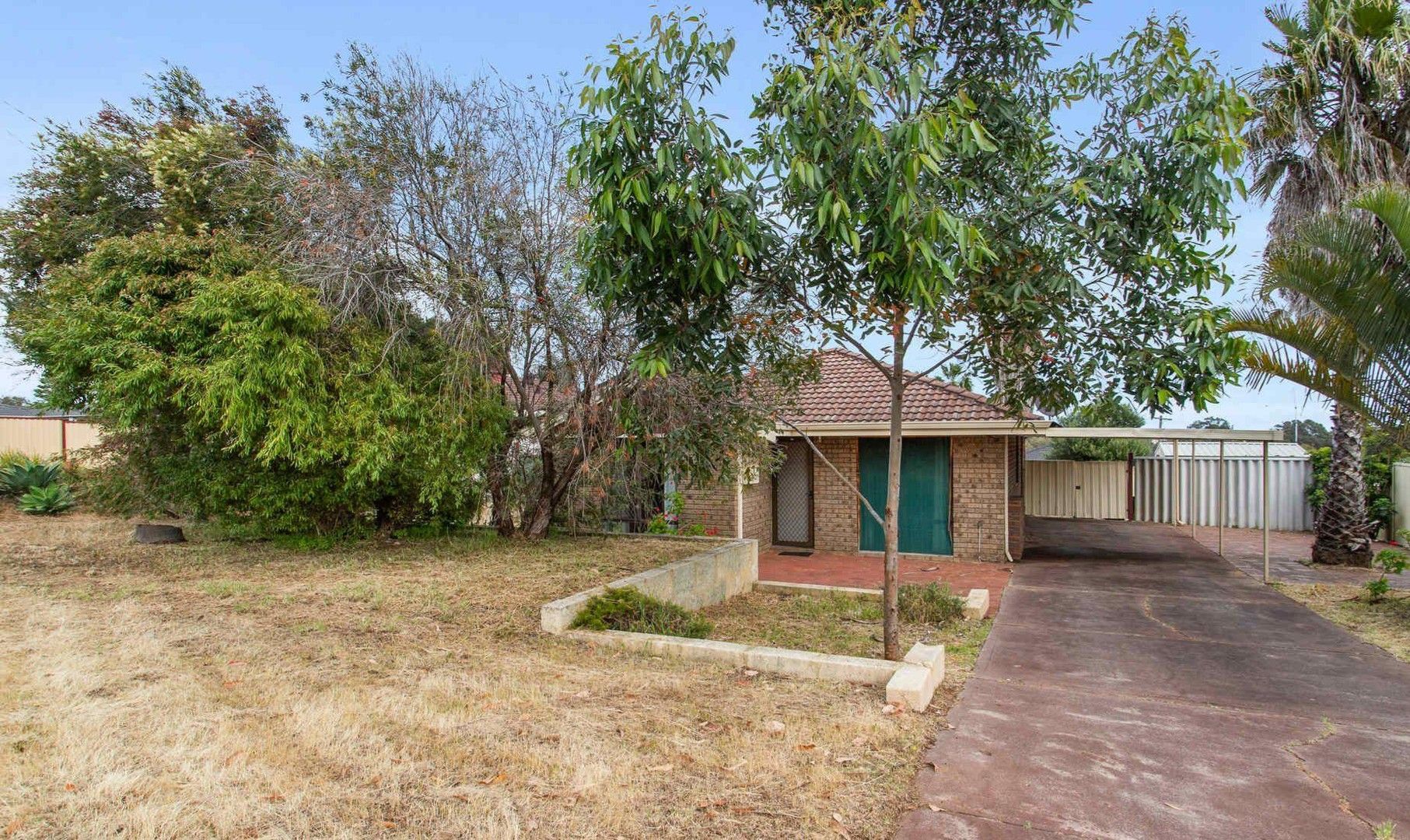 23 Skottowe Parkway, Parmelia WA 6167 - House For Rent - $550 | Domain