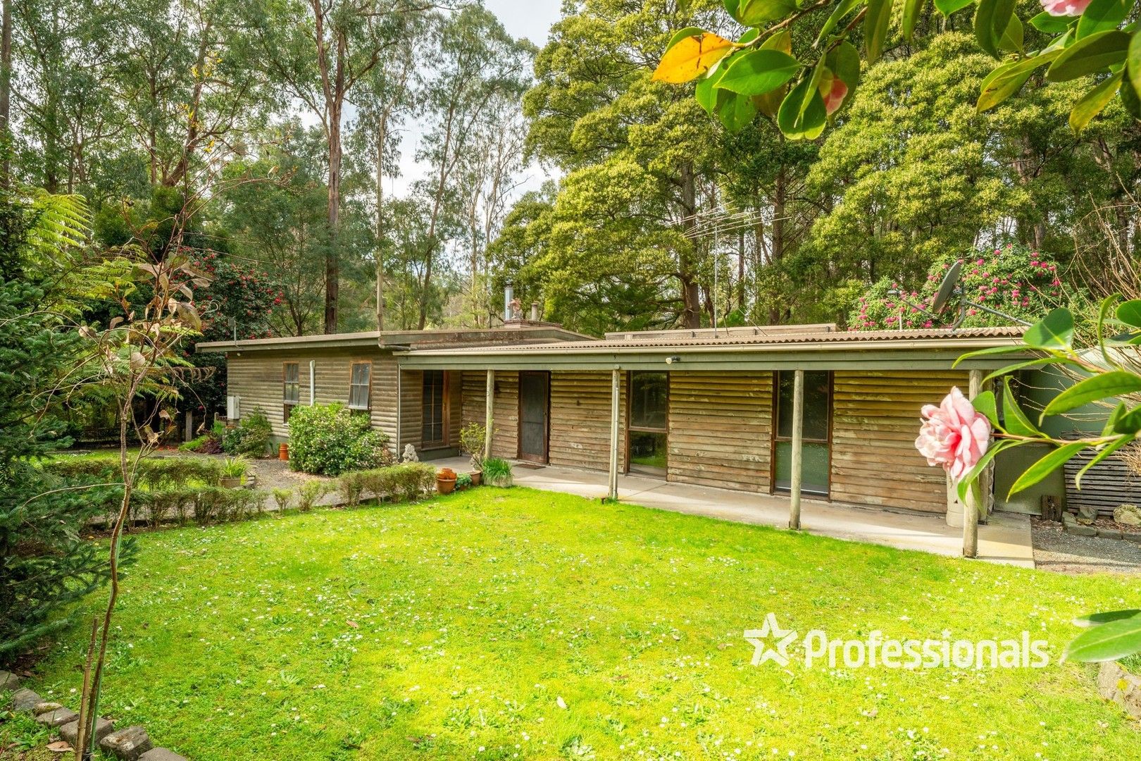 3 Hacketts Creek Road, Three Bridges VIC 3797 | Domain