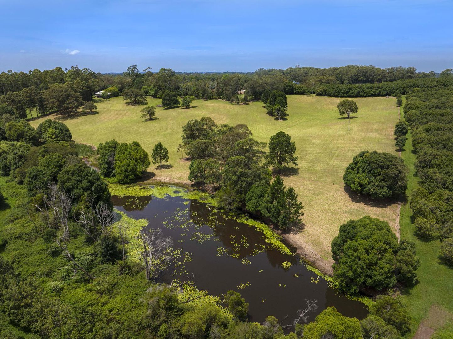 1161 Bruxner Highway, Goonellabah NSW 2480 | Domain