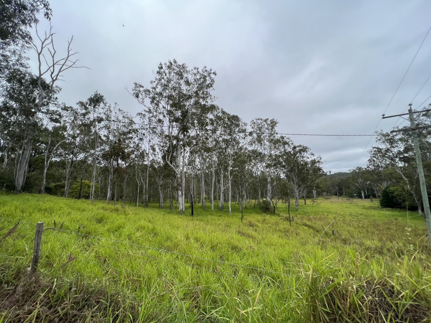 22 Miller Road, Wondecla QLD 4887 | Domain