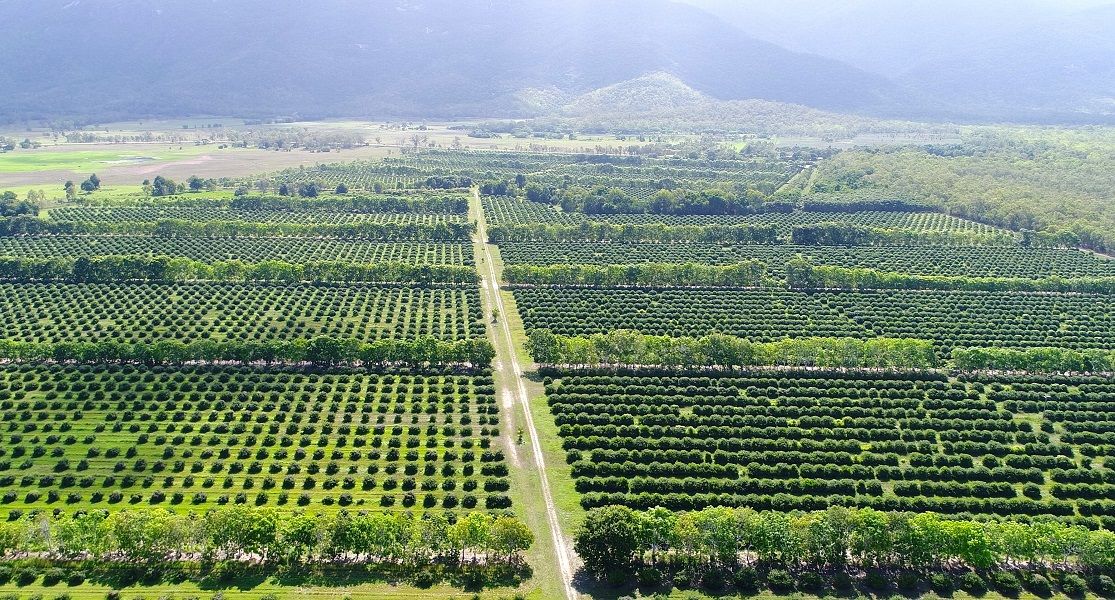 34312 Bruce Highway, Mount Surround QLD 4809 - House for Sale