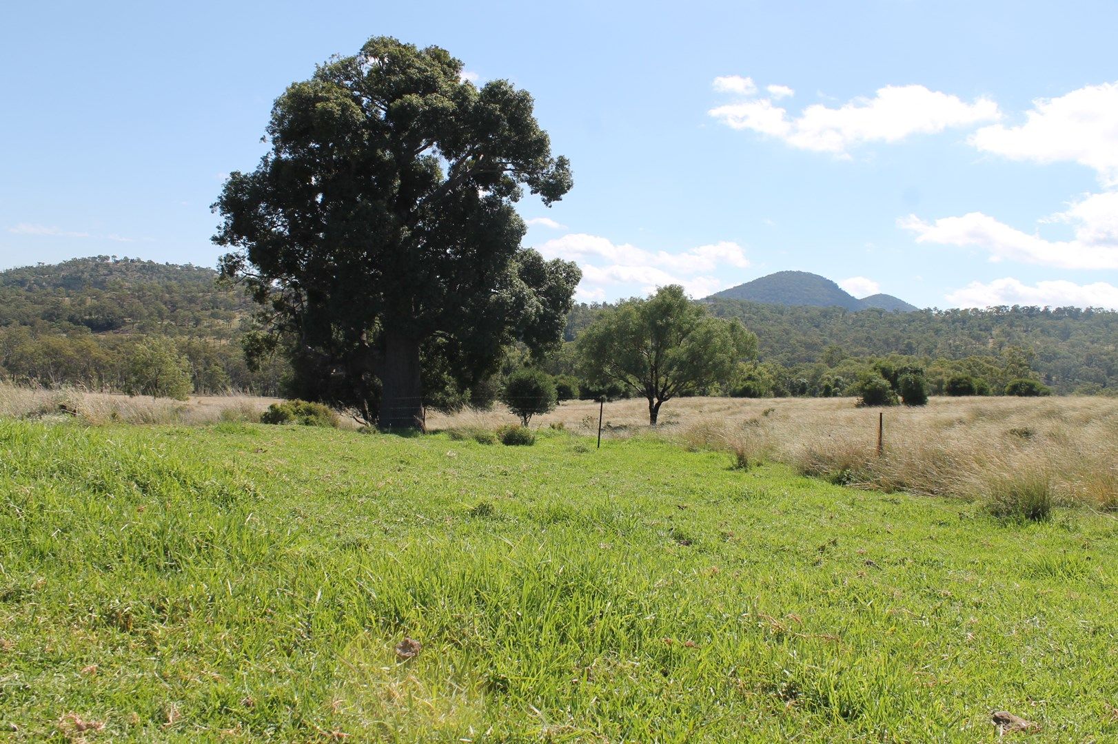 Sold in MacLagan QLD 4352 on 19 Jun 2017 - 2013573072 | Domain