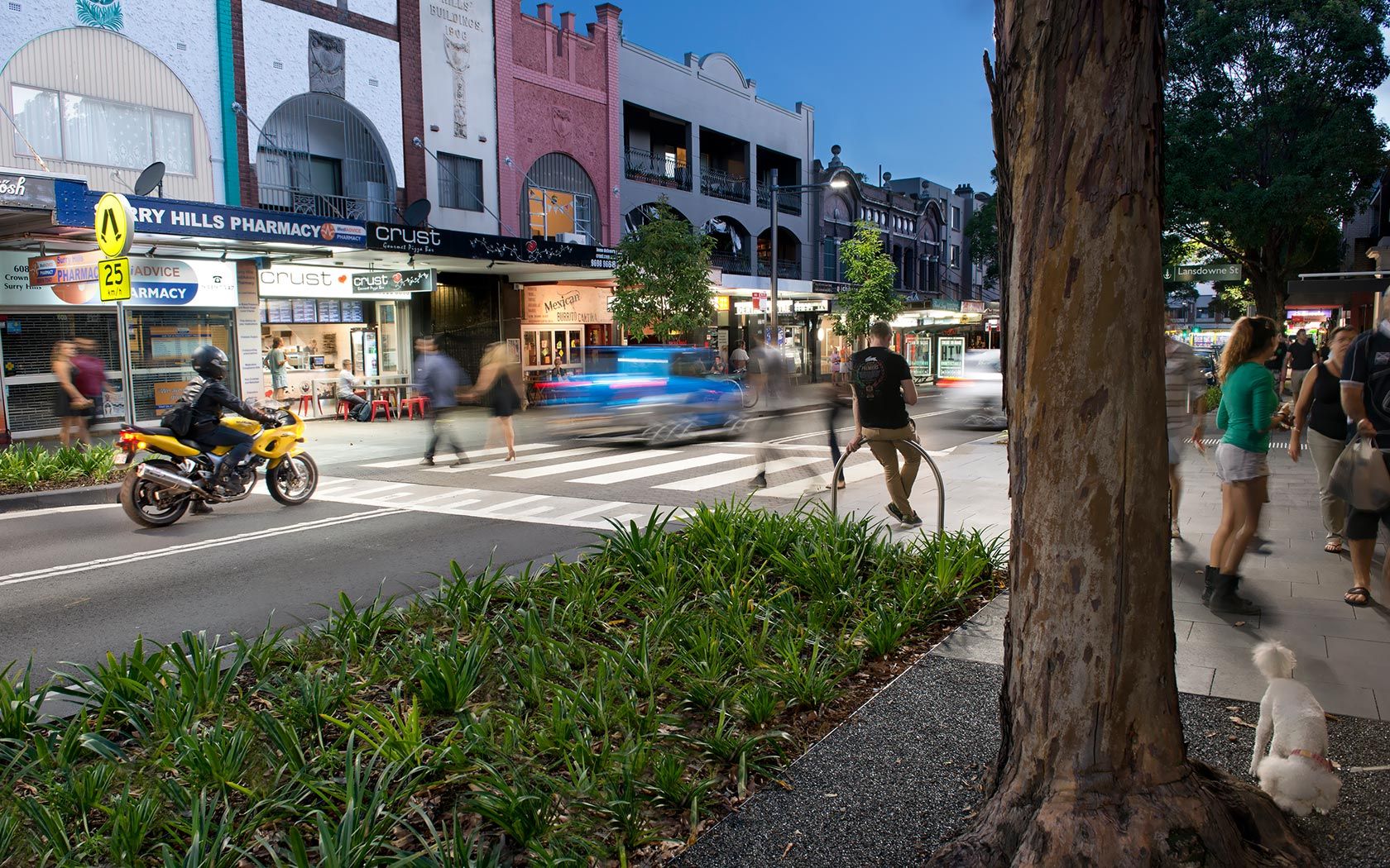 536 Crown Street, Surry Hills | Property History & Address Research ...