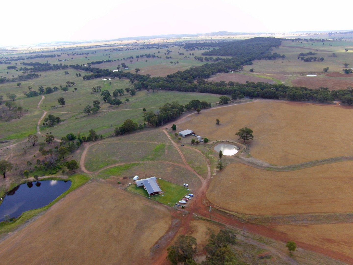 Coolah NSW 2843 - House for Sale | Domain