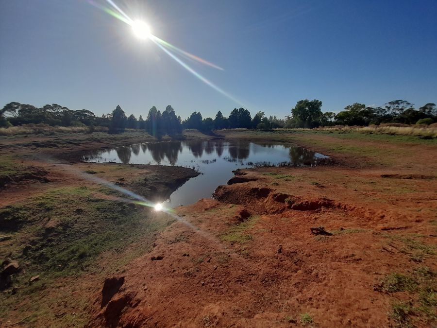 Sold 4384 The Bogan Way, Tottenham NSW 2873 on 23 Feb 2023 - 2018363360 ...