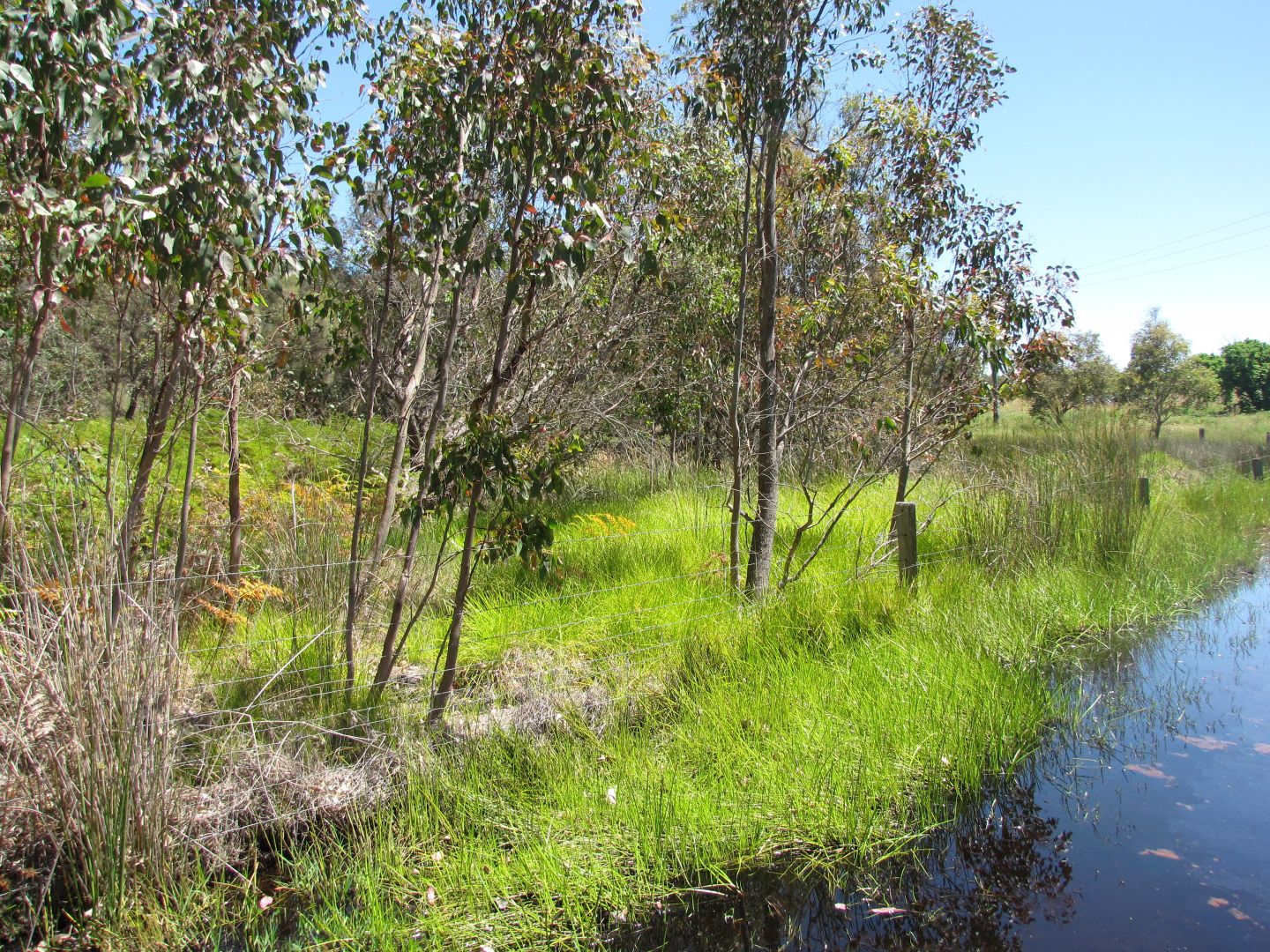 210 Barn Road, Mooliabeene | Property History & Address Research | Domain