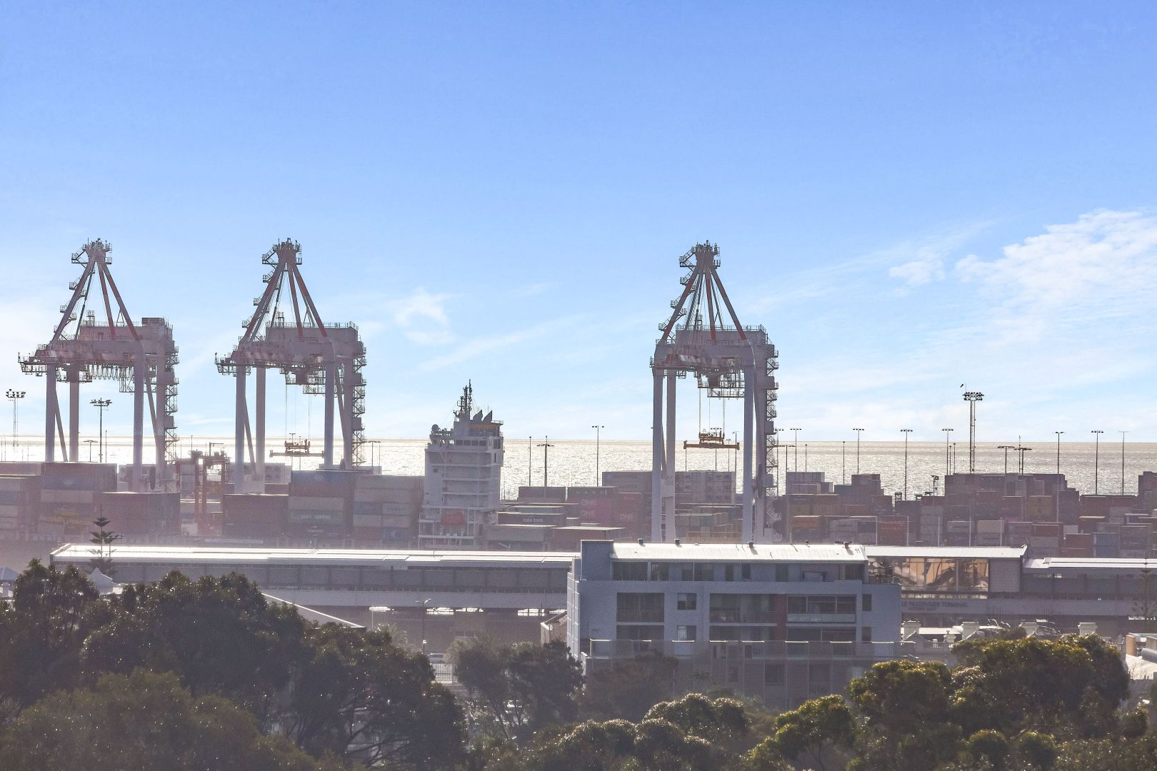 312/8 Ord Street, Fremantle WA 6160 - Apartment For Rent | Domain