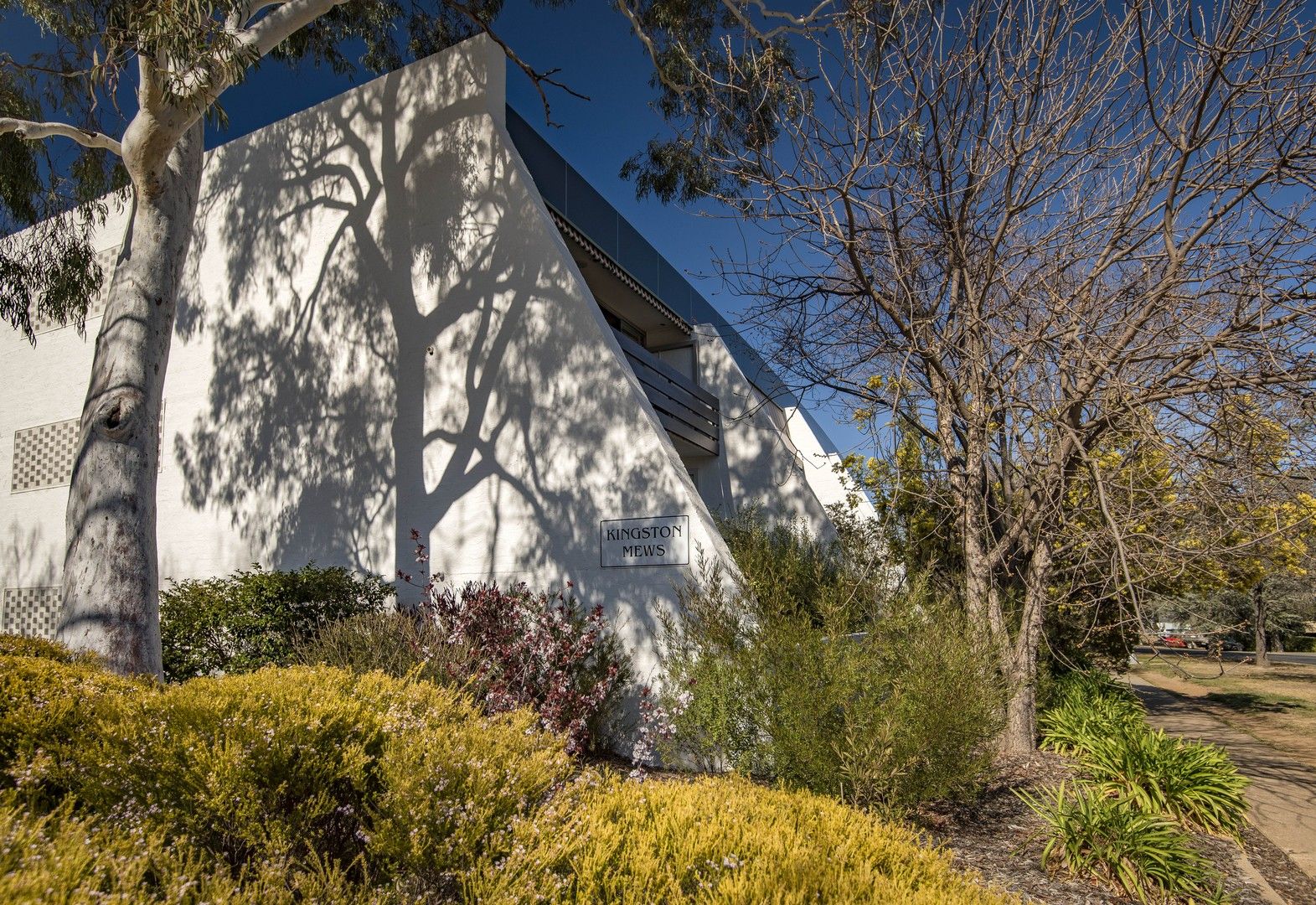 36/8 Giles Street, Griffith ACT 2603 - Apartment For Rent | Domain