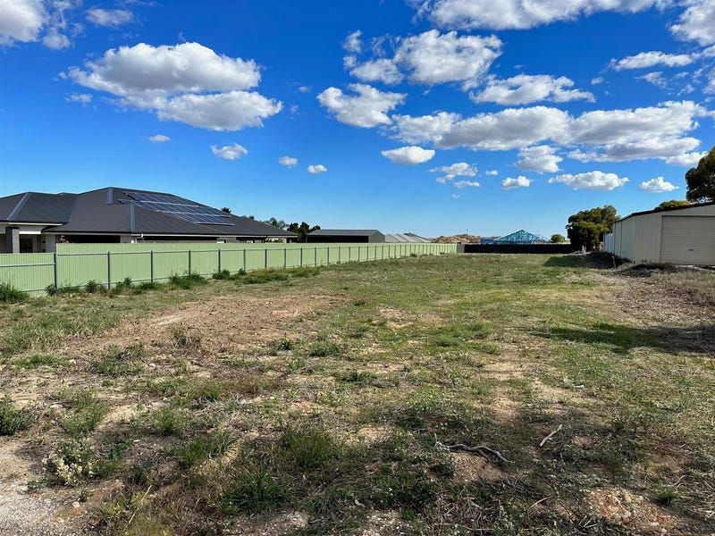 28 Gray Street, Freeling SA 5372 | Domain