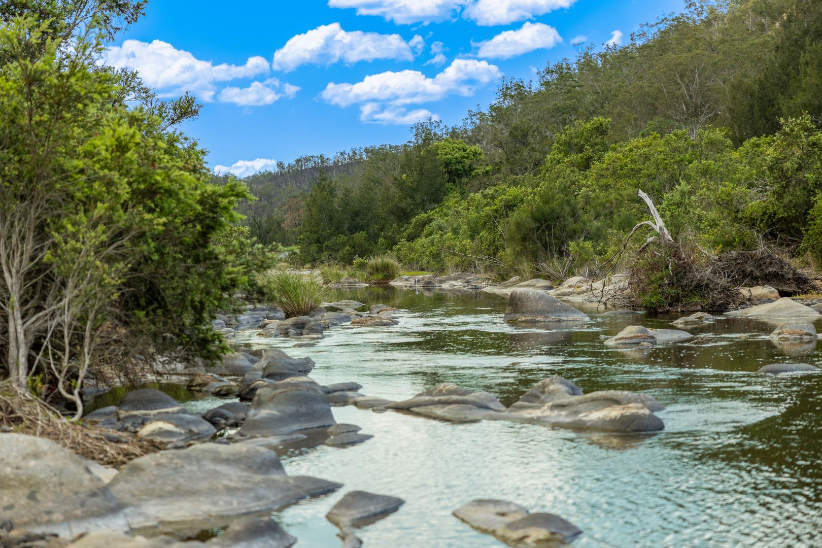 2058 Rocky River road Rocky River via, Tabulam NSW 2469 - Farm for Sale ...