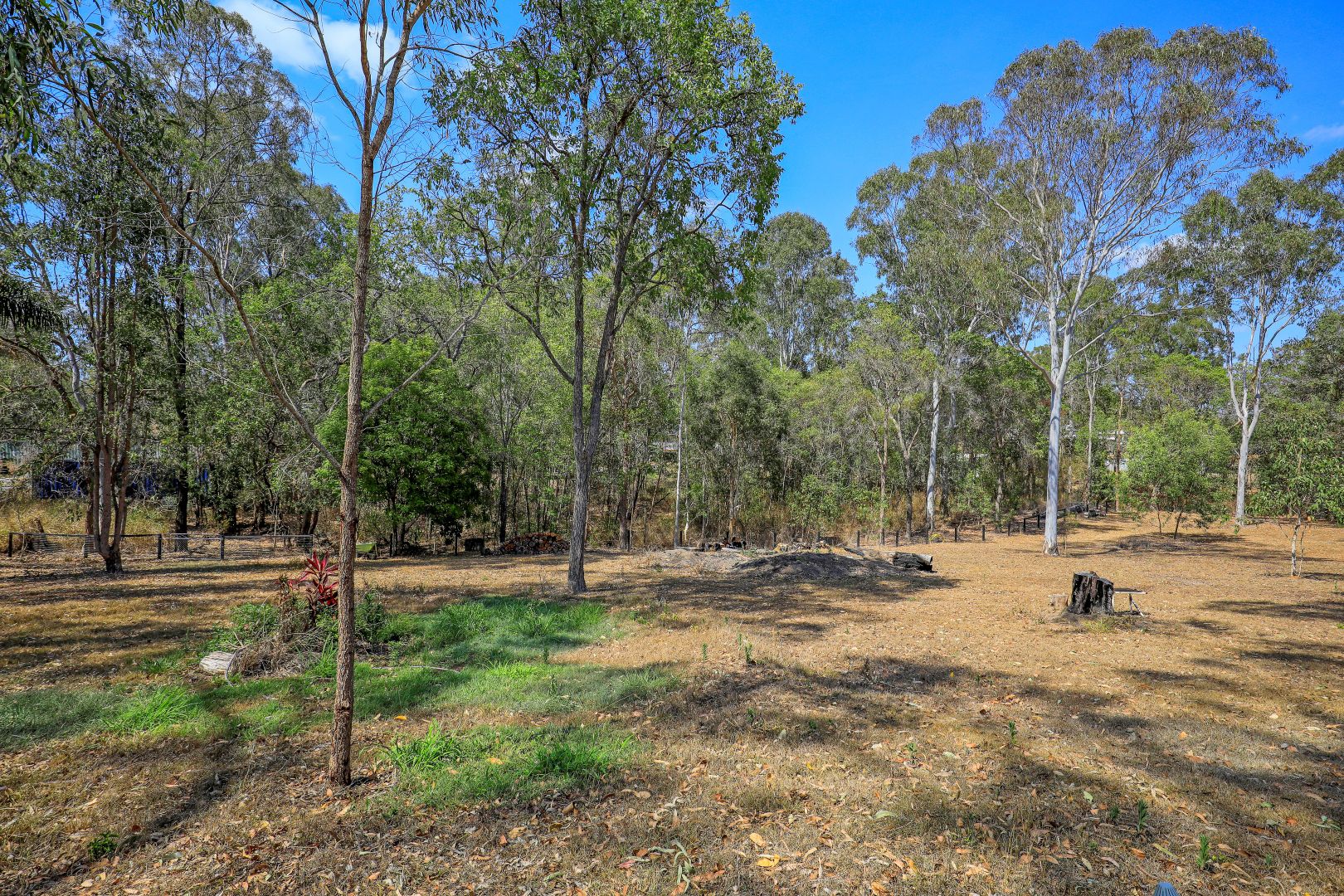 24 Wallace Street, Apple Tree Creek QLD 4660 | Domain