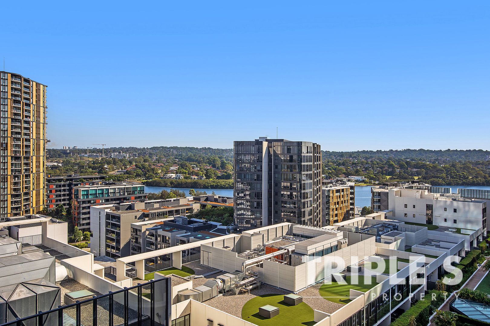 1410/11 Wentworth Place, Wentworth Point NSW 2127 | Domain
