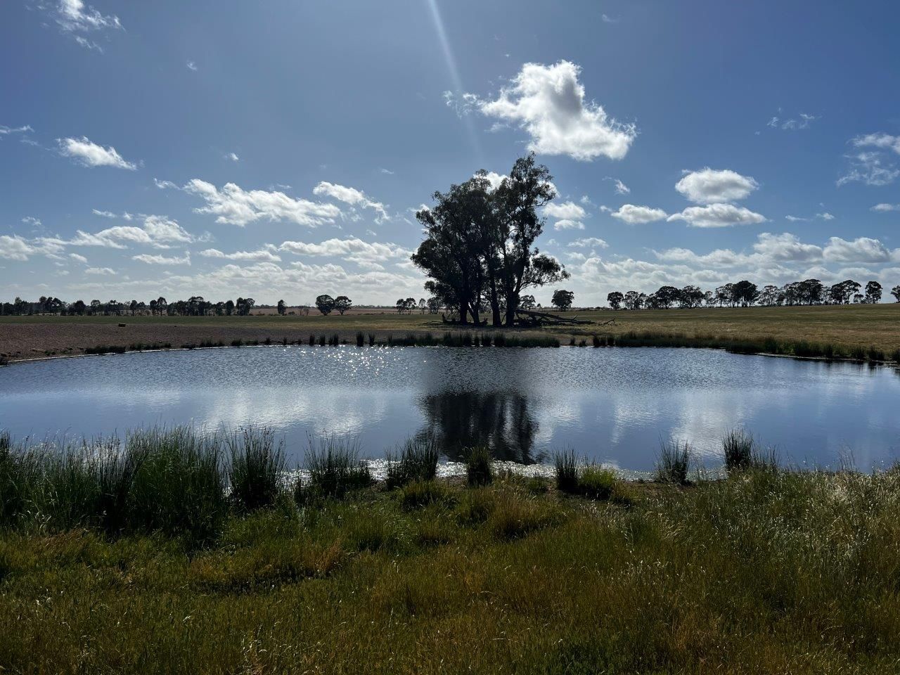 CA59D&59C Plain Road, Colbinabbin VIC 3559 - House for Sale | Domain