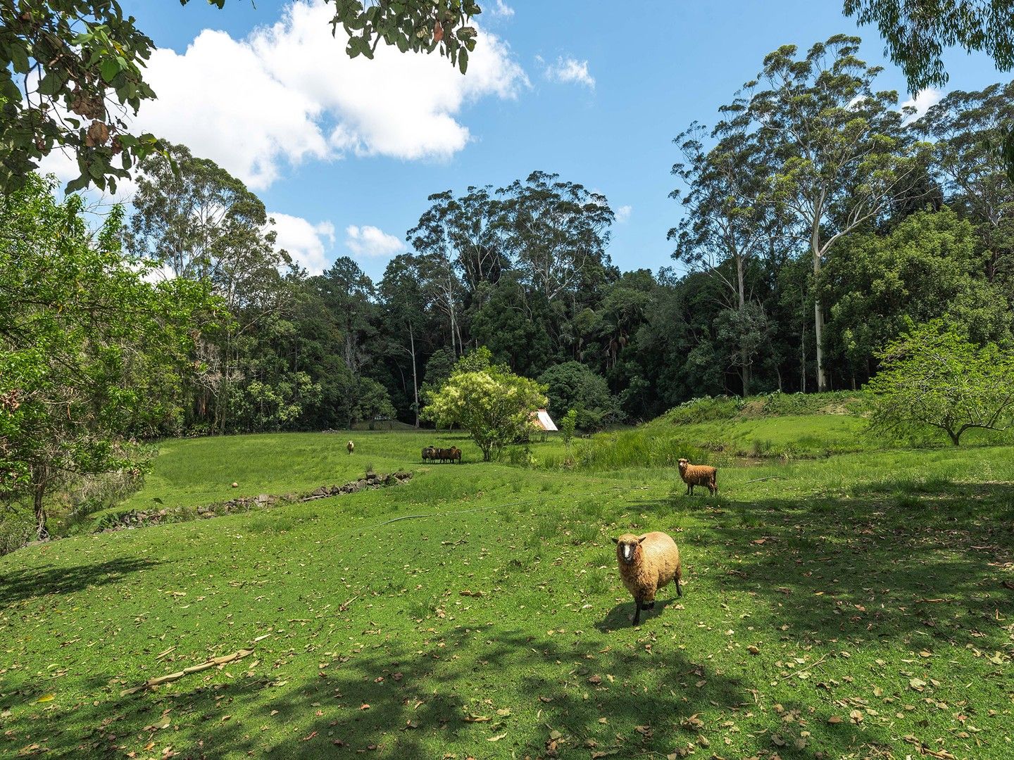 106 Cogill Road, Buderim QLD 4556 | Domain