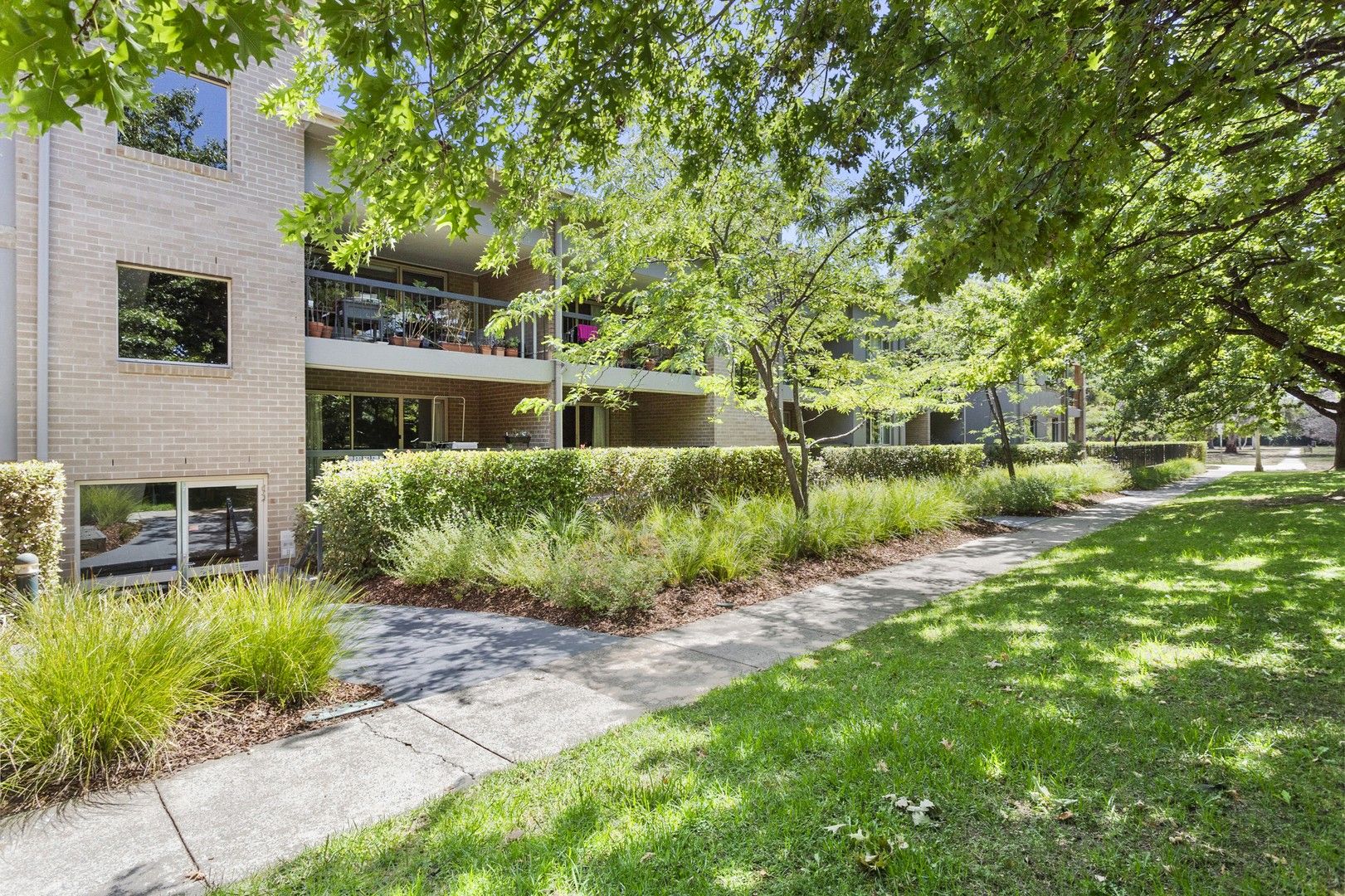 19/43 Ijong Street, Braddon ACT 2612 | Domain