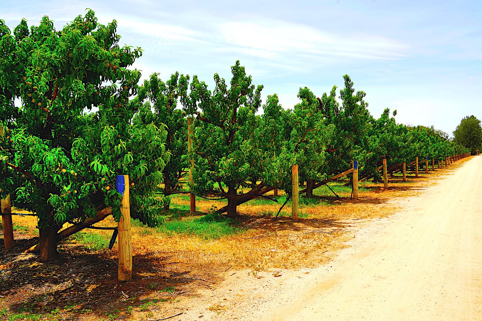 100 Sandilands Road, Kaarimba | Property History & Address Research ...