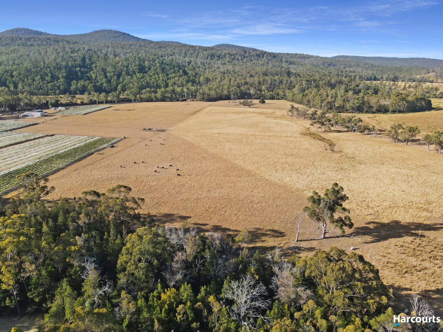 Lot 3, Rosedale Road, Bicheno TAS 7215 | Domain