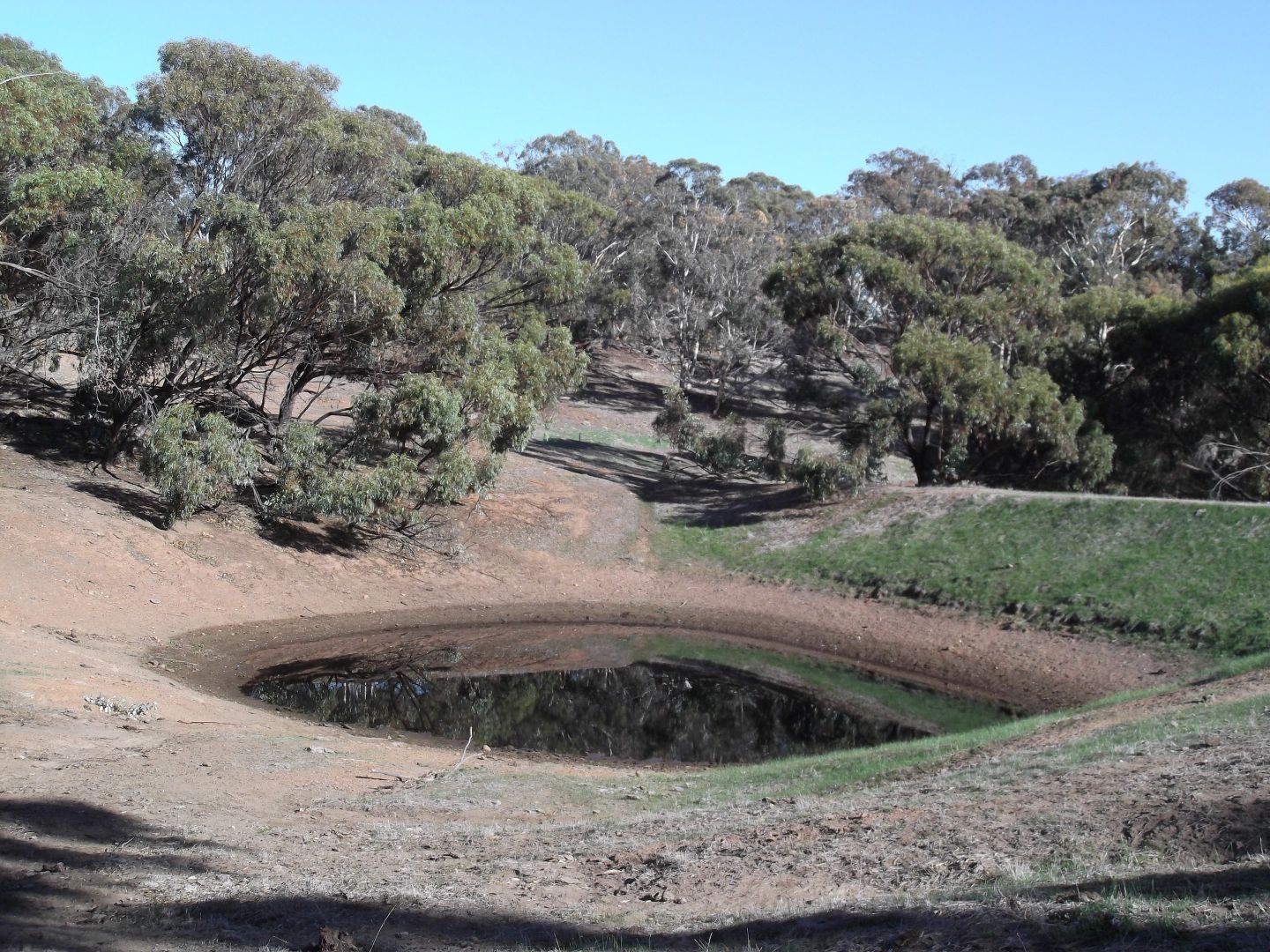 287 Harders Chitty Road, West Toodya | Property History & Address ...