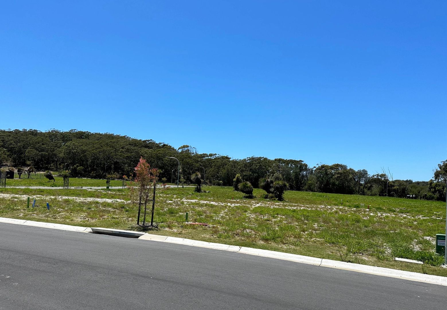 47 Prince Of Wales Drive, Dunbogan NSW 2443 | Domain