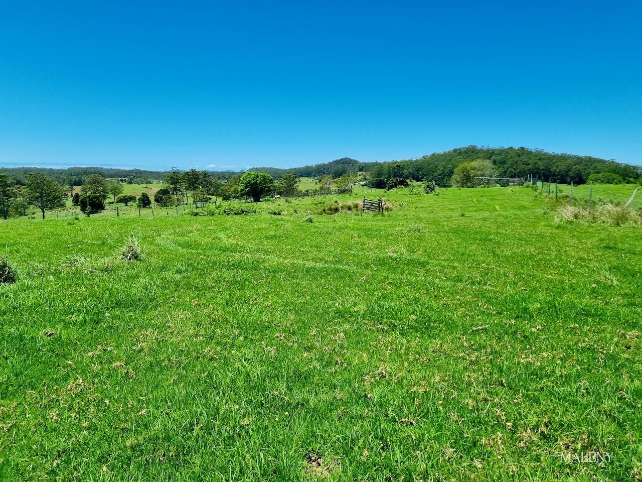 539-605 Bellthorpe West Road, Bellthorpe QLD 4514 | Domain