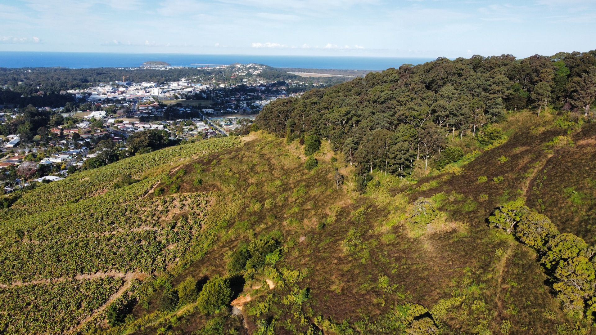 183B Coramba Road, Coffs Harbour NSW 2450 | Domain