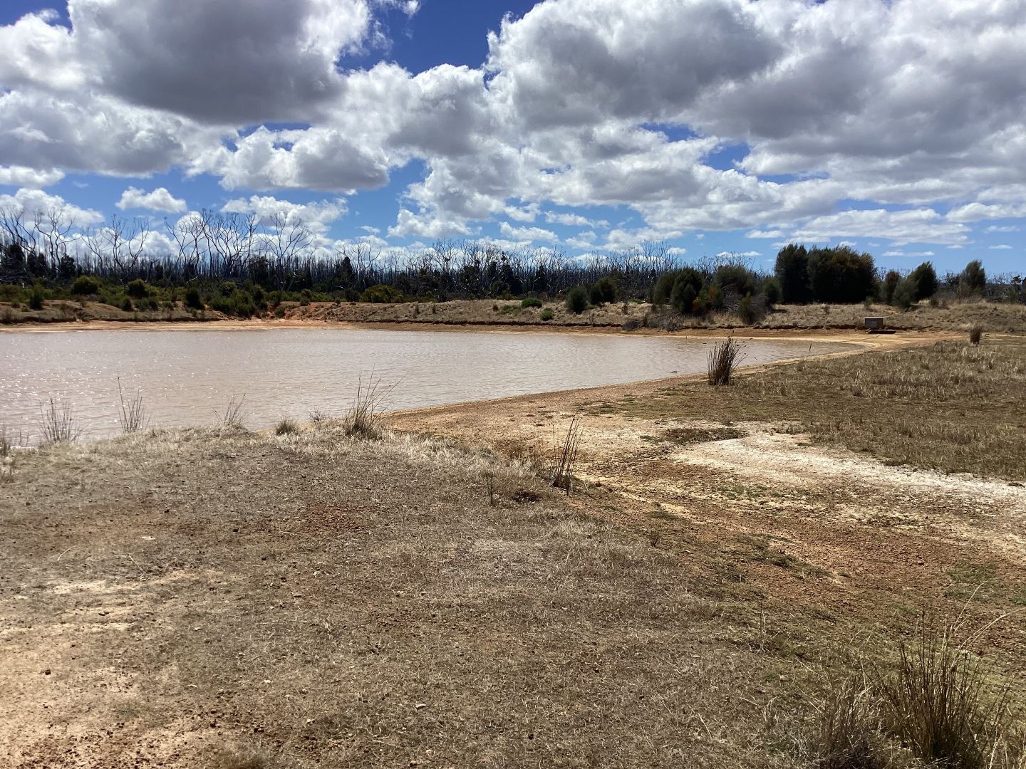 6808 South Coast Road, Karatta SA 5223 - House for Sale | Domain