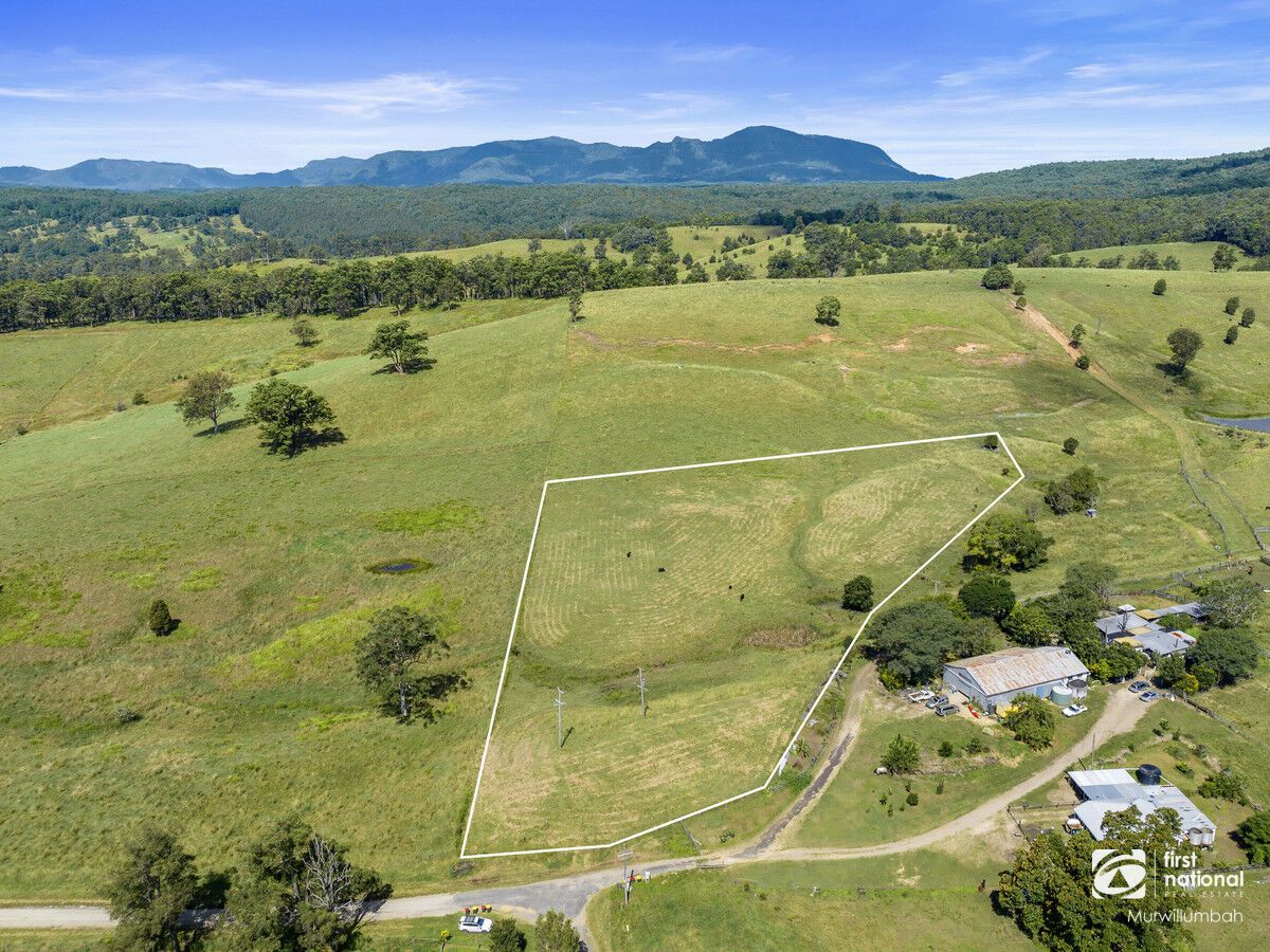 427 Back Creek Road, Back Creek NSW 2484 | Domain